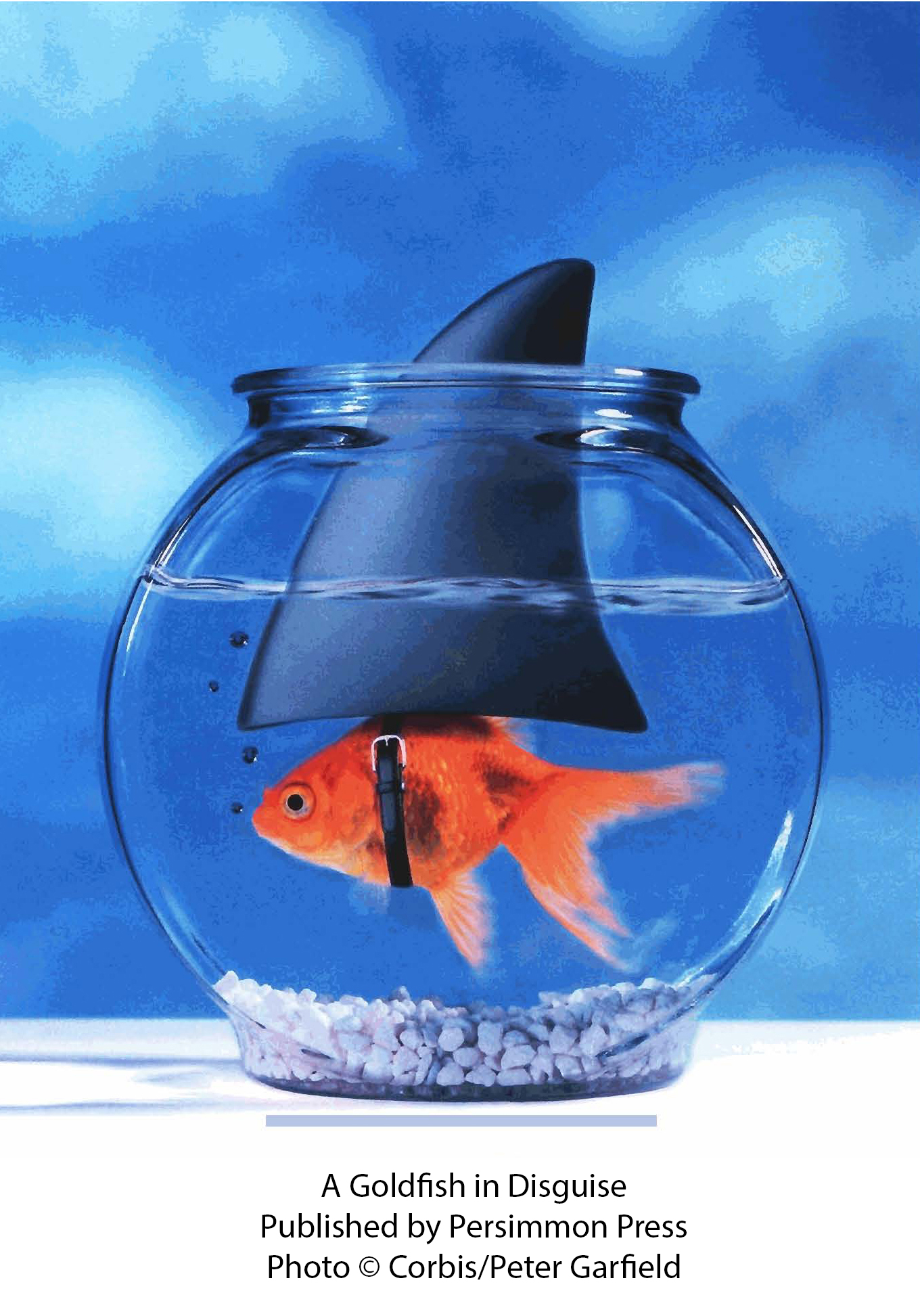 Images - Paula R. Backscheider